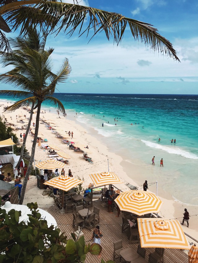 Revolve Summer in Bermuda — Negin Mirsalehi